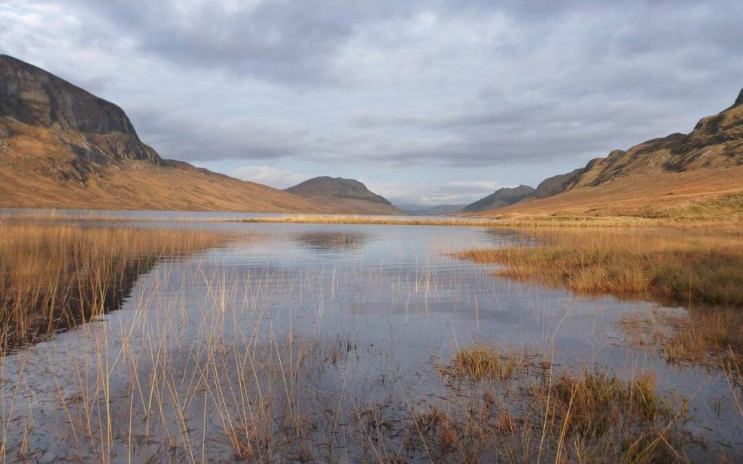 News | Earba Storage